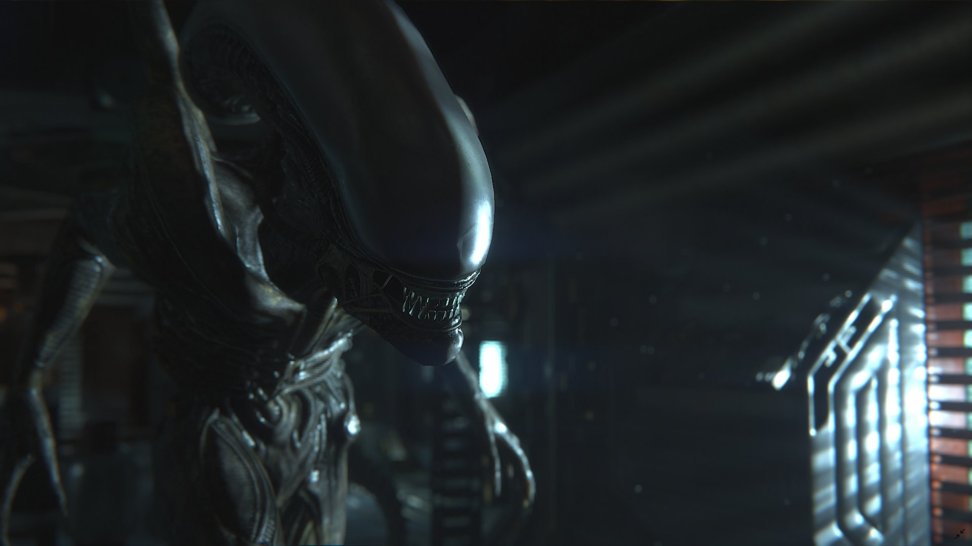 Amanda Ripley Goes to College: Why ‘Alien: Isolation’ Novel Fails ...
