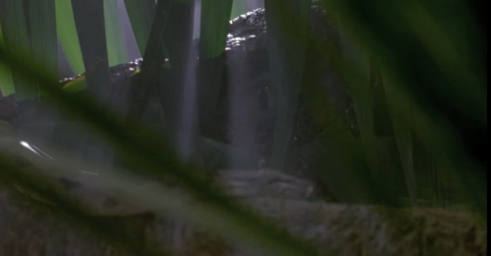 The Horror Roots of ‘Jurassic Park’ – ScreenHub Entertainment ...