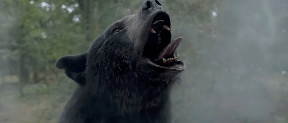 ‘Cocaine Bear’ is Frantic, Drug-Fueled Fun – ScreenHub Entertainment ...